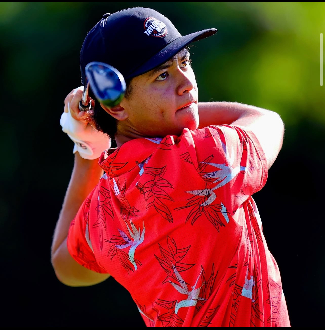 Seabury Hall’s Tyler Loree defends state golf crown | News, Sports ...